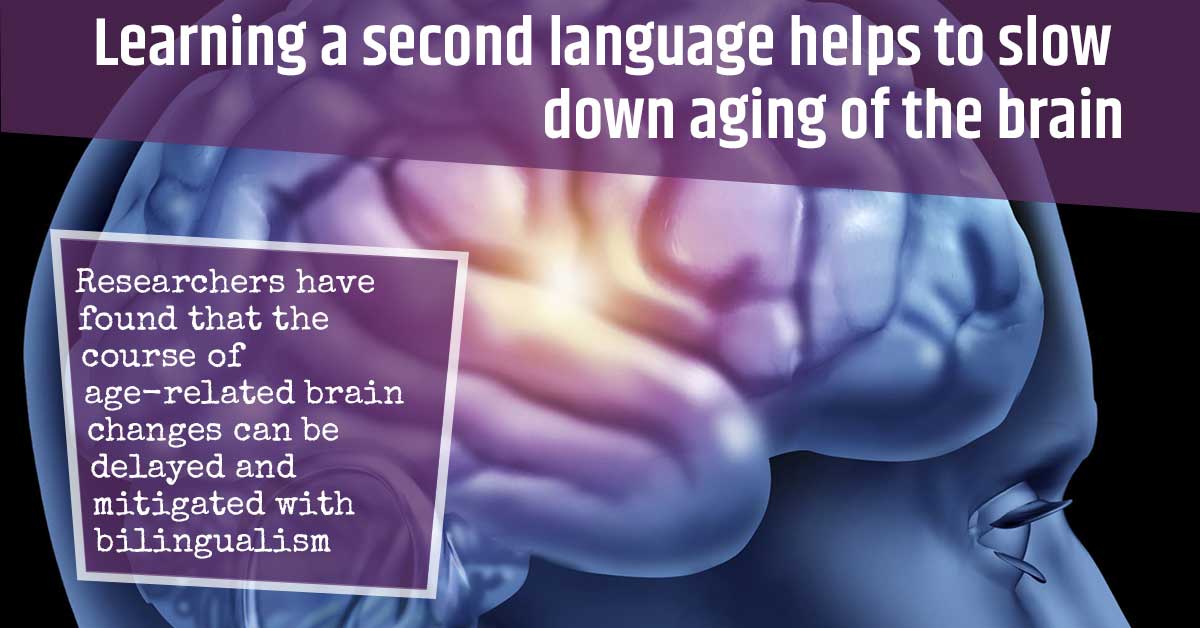 Learning a Second Language Helps to Slow Down Aging of the Brain
